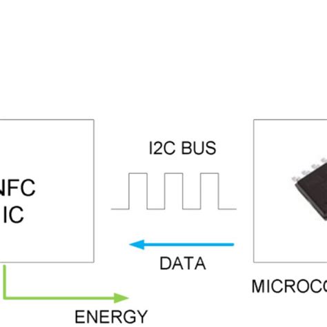 A Color Based Classification System For Grading The Ripeness Of Fruit Download Scientific