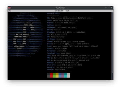 No Logo When Starting Via Zshrc Issue 485 Fastfetch Cli Fastfetch