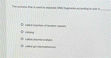The Process That Is Used To Separate Dna Fragments According To Size Is Called Insertio [biology]