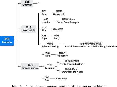 Figure 2 From Extracting Structure Information From Narrative Medical Reports Based On Llms