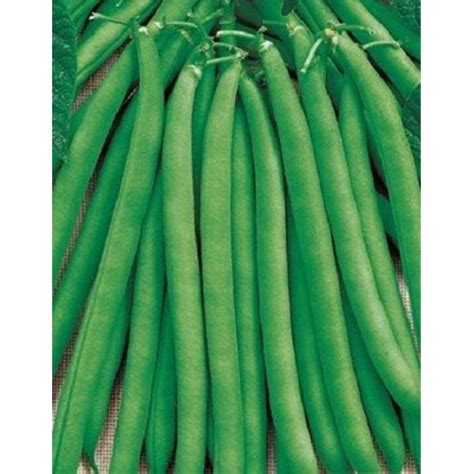 Купить Фасоль овощная Сакса без волокна 615 5 гр цв.п - SPirk.ru