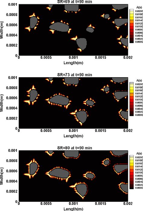 Figure 3 From Pore Scale Modelling Of Nucleation And Growth In 1 Porous