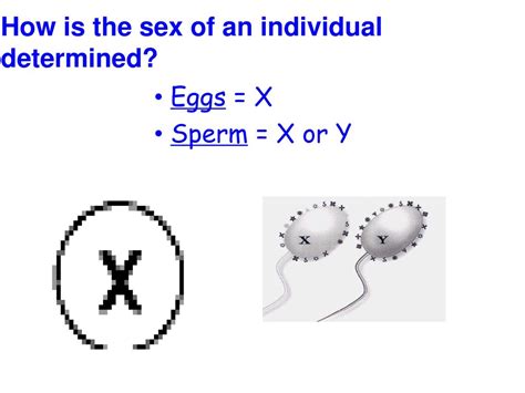 Topic Genetics Aim How Do We Use Pedigree Charts To Follow A Trait Through Generations Of A