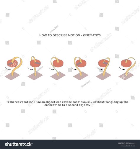 Shoulder Movement Flexion Extension Abduction Adduction Stock Vector Royalty Free 2075859283