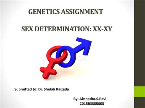 Sex Determination In Drosophila And Human Pptx
