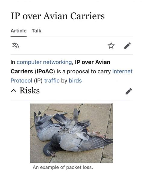 import pandas as pd r programmerhumor