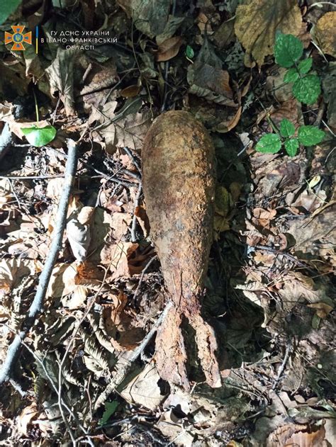 На Коломийщині знайшли мінометну міну часів ІІ Світової ФОТО