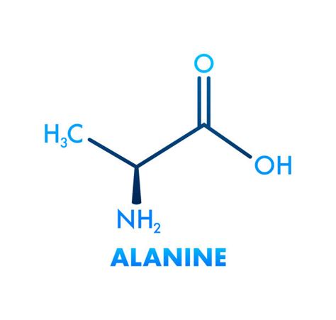 Structural Formula Of Alanine
