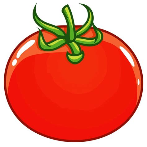 Cartoon Tomato Clip Art Style Simple Vector Illustration With A White