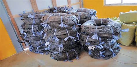 တရားမဝင်သစ်မျိုးစုံ၊ အင်ကြင်းကျောက်၊ လူသုံးကုန်၊ စားသောက်ကုန်၊ လုပ်ငန