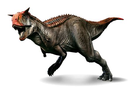 Carnotaurus Facts Habitat Diet Fossils Pictures