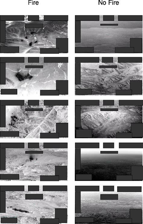 Figure 1 From Wildfire Classification Using Infrared Unmanned Aerial Vehicle Data With