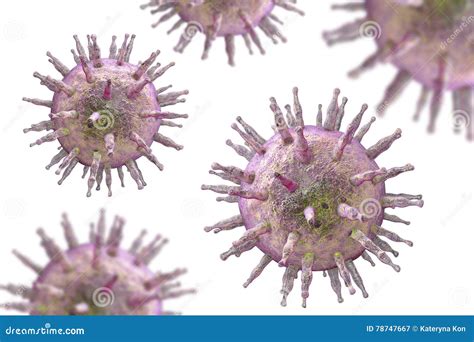 Epstein Barr Virus Illustration Stock Image Image Of Medicine Health 78747667