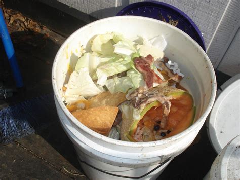 What Does The Word Slop Bucket Mean At Michelle Reis Blog