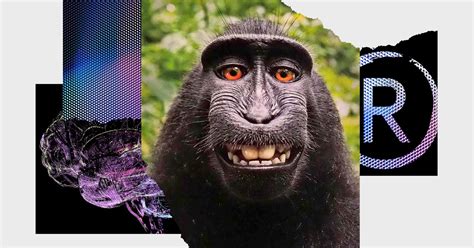 Generative Art Is Challenging What It Means To Be Human WIRED