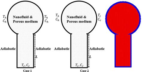 Primary Physical Diagram And Mesh Generation Models Download
