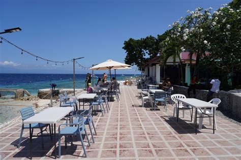 필리핀 세부 가볼만한곳 여행 ️ 오슬롭 고래상어 투어 모알보알 거북이 Arola 맛집 네이버 블로그