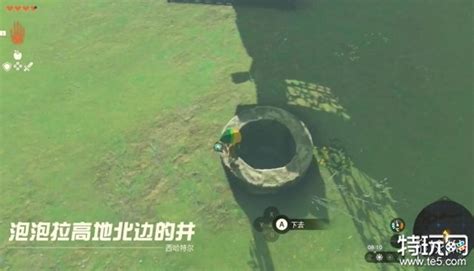 塞尔达传说王国之泪泡泡拉高地鸟望台解锁方法 泡泡拉高地鸟望台怎么解锁 特玩网