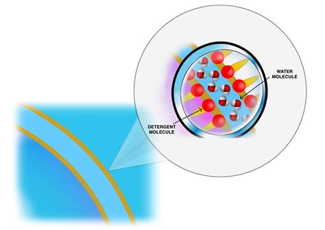 The Secret Science Of Bubbles American Chemical Society