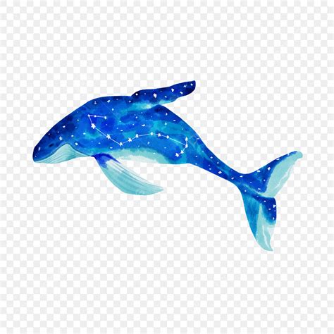 고래 일러스트 별자리 해양 수채화 바다 별 하늘 수채화 고래 깊은 바다 Png 일러스트 및 Psd 이미지 무료 다운로드 Pngtree