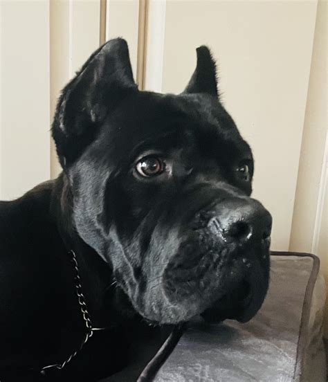 Kevin Ramsier Kevinramsierx Twitter