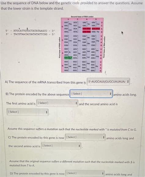 Solved Use The Sequence Of DNA Below And The Genetic Code Chegg