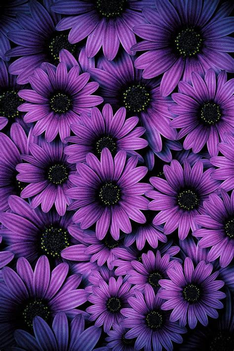 [1900 ] Purple Aesthetic Wallpapers