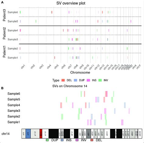 Examples Of SV Visualization Utilities A SVIV Allows For Download Scientific Diagram
