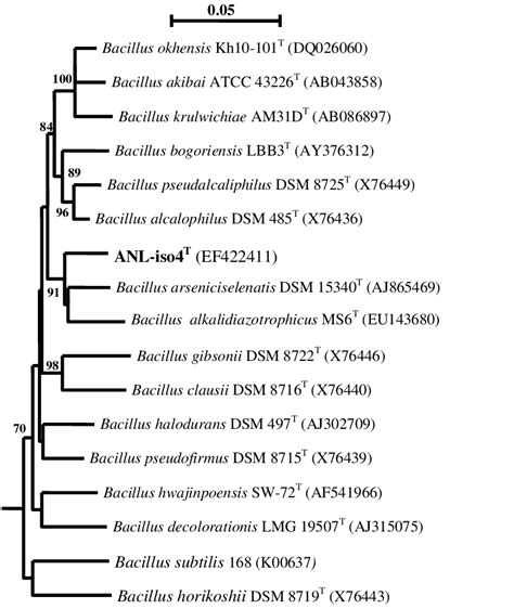 7 Phylogenetic Tree Neighbor Joining Algorithm Based On The Rrna Gene