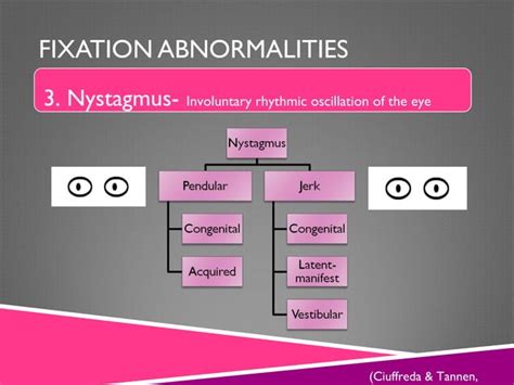 Fixation Characteristics And Abnormalities Ppt Computer Animation