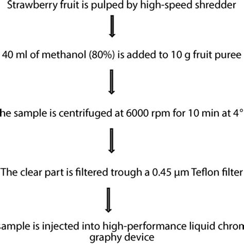 Extraction Method Of Individual Phenolic Compounds Download Scientific Diagram