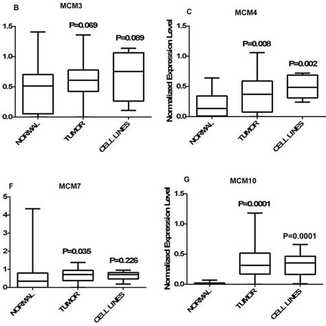 Ah Box Plots Representing The Distribution Of Normalized Expression