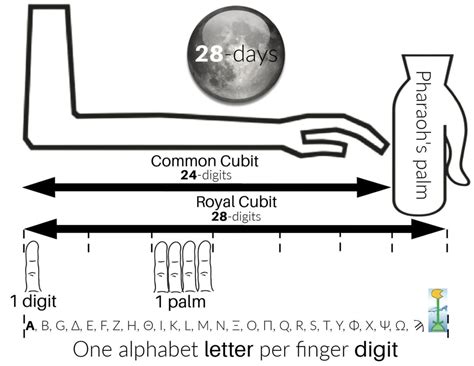 Common Cubit 📏 24 Digits Vs Royal Cubit 📏 28 Digits R Cubit