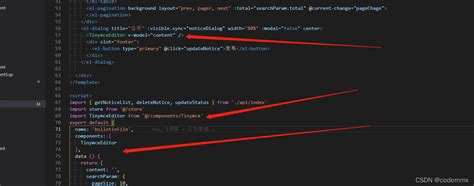 Vue Element Admin、vue 使用富文本编辑器（tinymce）实现汉化 Csdn博客