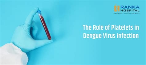 The Role Of Platelets In Dengue Virus Infection Ranka Hospital