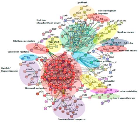 Protein Interactome Network For The Global Protein Repository Of