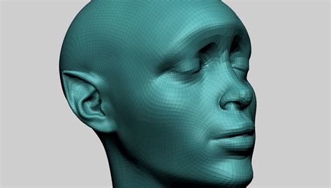 Female Head Form B 3d Model Cgtrader