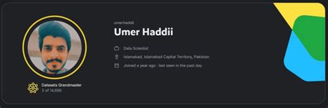 Ai Datascience Kaggle Kagglegrandmaster Llm Ml Umer Haddii 40