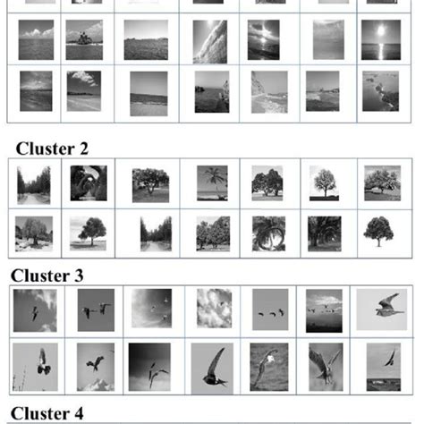 Examples Of Clusters Presented By The Proposed Algorithm Download Scientific Diagram