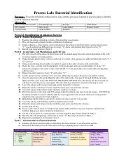 Bacterial Identification Lab Process And Protocol For Unknown Course Hero