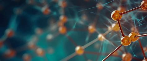 Biotech And Life Sciences Software Development Company Software Mind