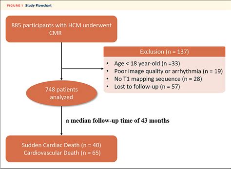 Figure 1 From The Prognostic Value Of Left Ventricular Entropy From T1 Mapping In Patients With