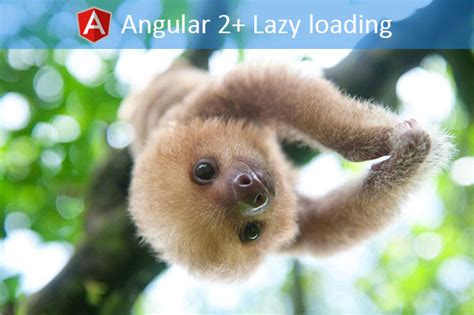 Techmaster Việt Nam Học Là Có Việc