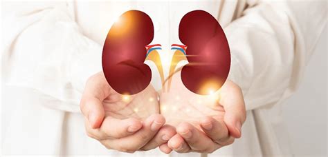 What Can I Do To Keep My Kidneys Healthy Clinical Renal Associates