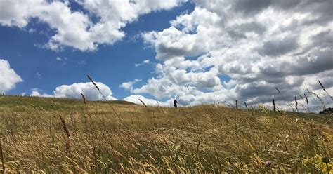 Rxjava Vs Reactor Java