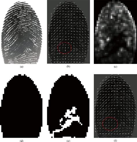 Figure 1 From Estimation Of Fingerprint Orientation Field By Weighted