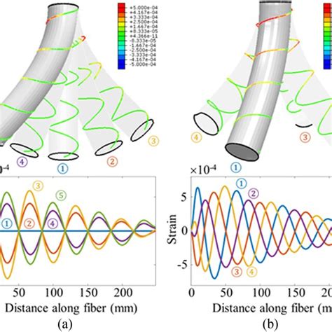 Finite Element Modeling Of The Strains Helically Distributed Along An