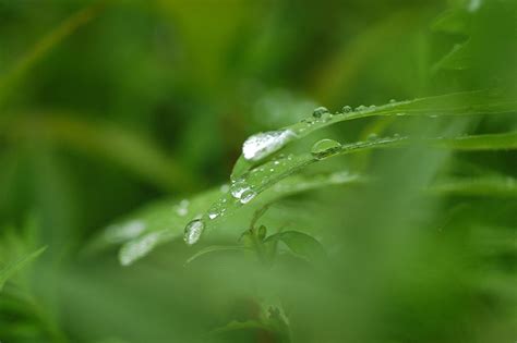雨上がり やさしい時間