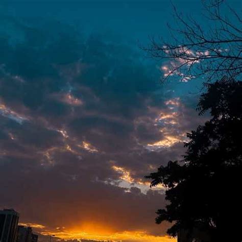 دانلود آهنگ بیا کاری کن ای هم نشینم با کیفیت عالی و متن