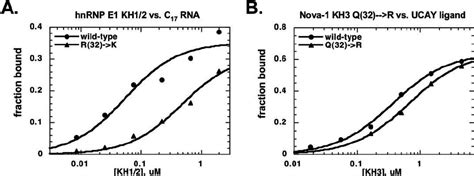 A Nitrocellulose Filter Binding Assays Of Polycytidylate C 17 Download Scientific